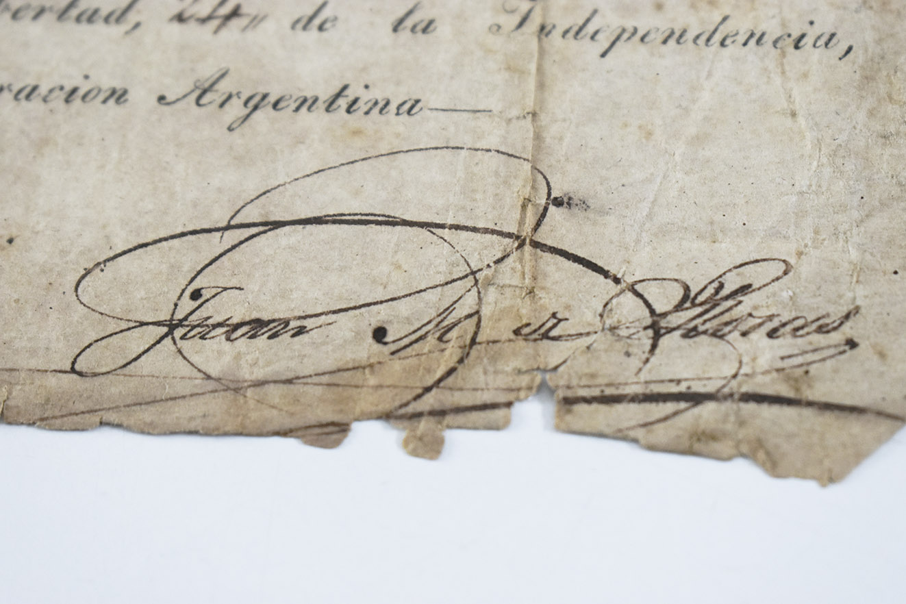 El pulso de la historia. Donación del fondo documental «Álvarez ...